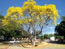 Turismo Arauca Colombia